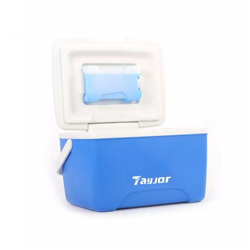 Small Size Portable Cooler Box 8L Cooler Box - TAYJOR OUTDOOR