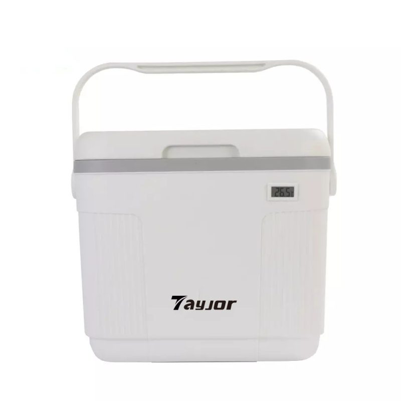 blow molded Cooler Box wholesale With Thermometer- TAYJOR
